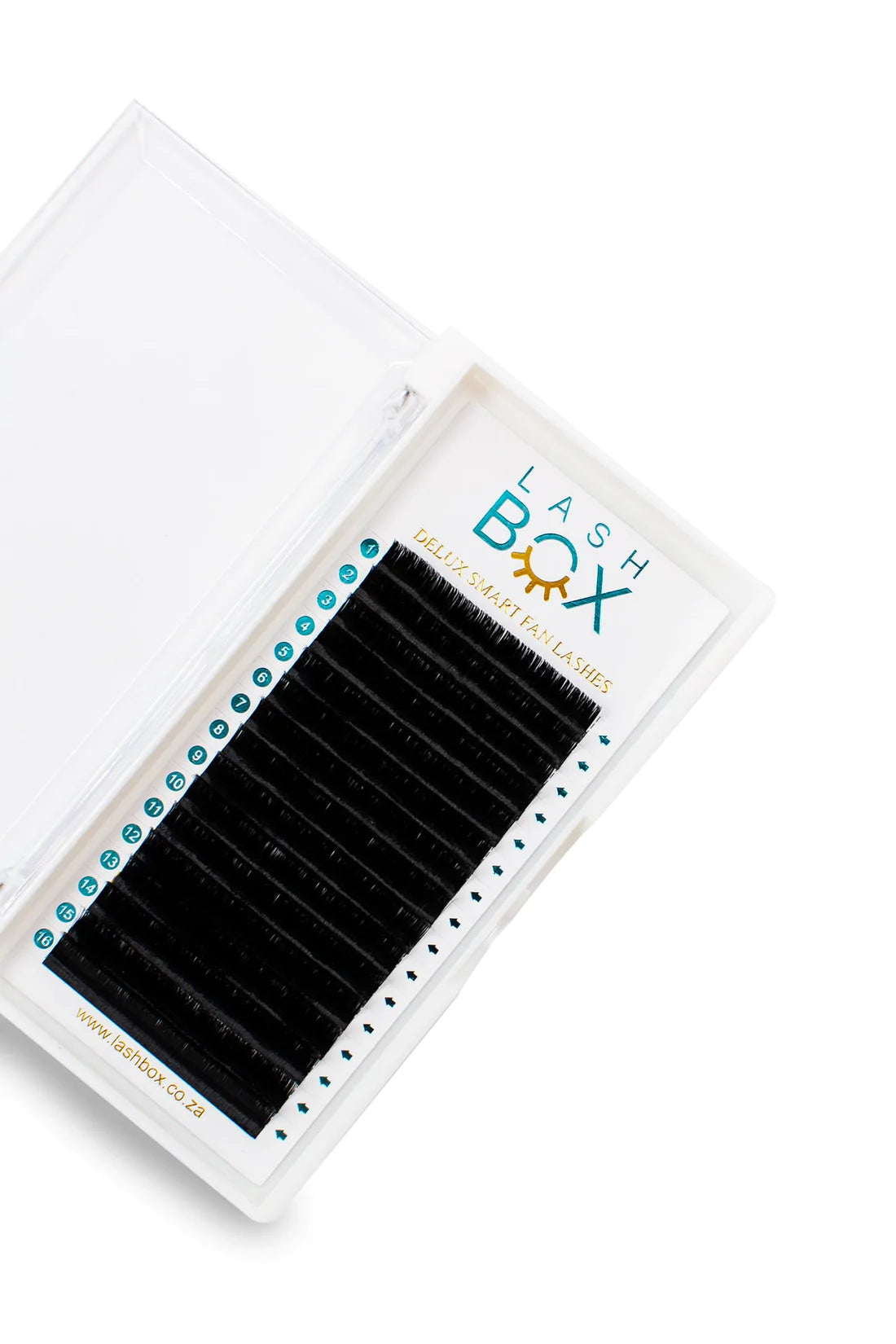 What is an Eyelash Extension? | Lash Box Pty Ltd