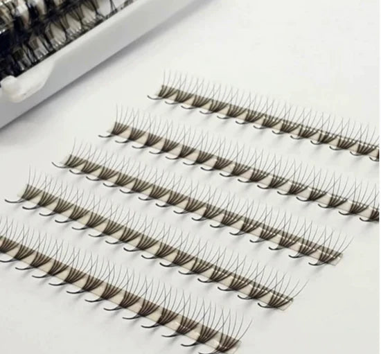 Everything About Pro-made Fans | Lash Box Pty Ltd